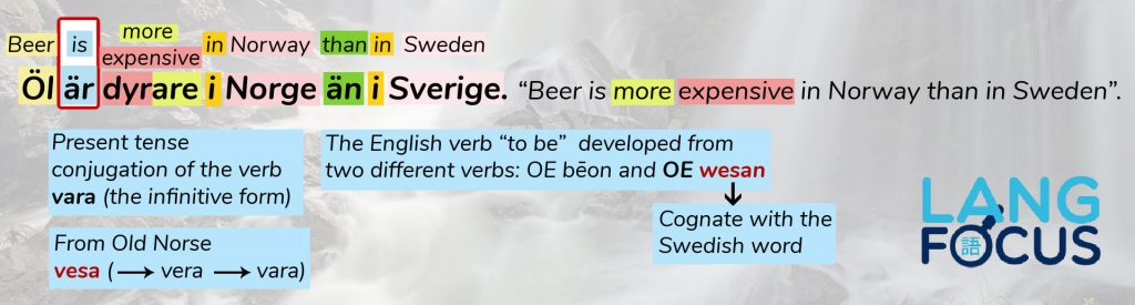 The Swedish Language